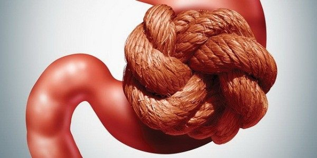 Hronična i akutna dijareja - Kako zaustaviti dijareju hranom i lekovima ...