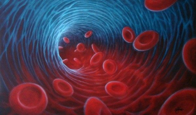 Eritrociti ili crvena krvna zrnca - koje vrste eritrocita imamo i ...