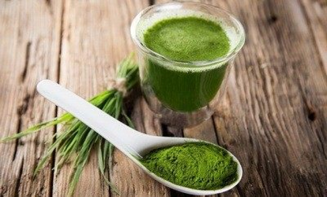 Kako se alge koriste u medicinske svrhe i koje vrste algi imamo ...