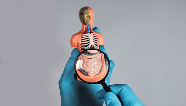 BioLiver kapi za jetru | Priroda na dar - Srbija