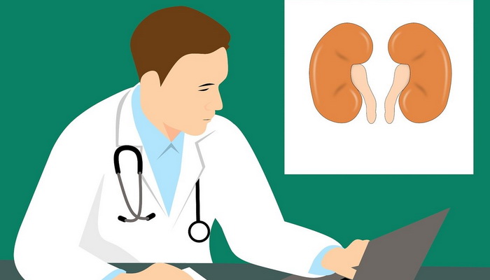 Saveti | Priroda na dar - Bosna